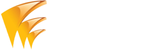 About Us - Diligent Global